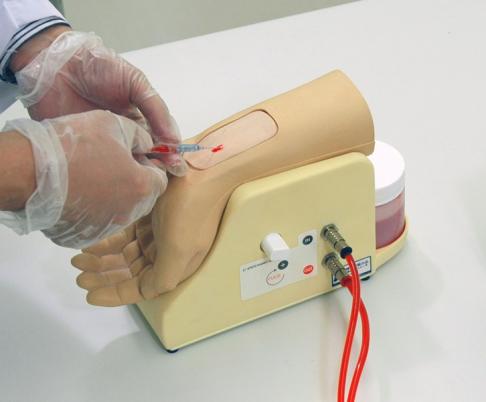 Radial Artery Puncture Model | 3-Dmed