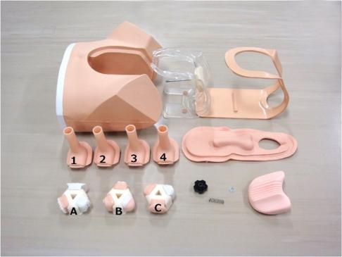 Prostate & Rectal Simulator - 3-Dmed