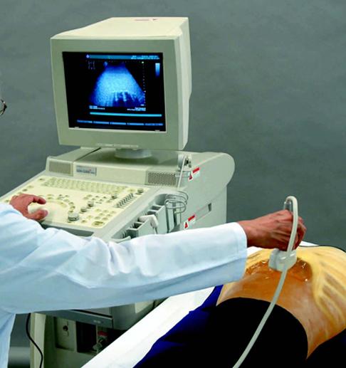 Ultrasound Examination Model "ABDFAN" Set - 3-Dmed